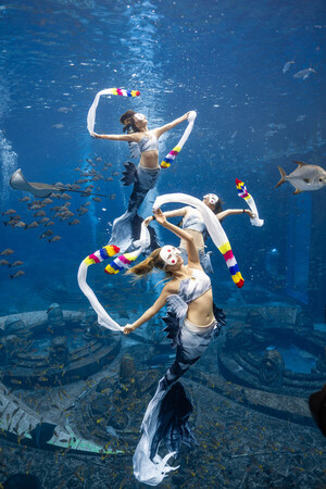 중국 미인어 오픈경기 2024년도 결승전 및 아시안컵 개막